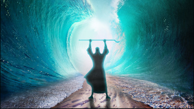 Recette : Tajine de poulet aux olives et au citron