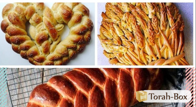 Inspirations : Des formes de 'Hallot originales