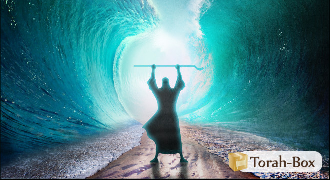 Béchala’h – L’ouverture de la Mer et la création du monde