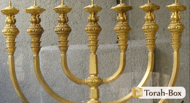 Rav Menaché et les secrets de la Ménorah