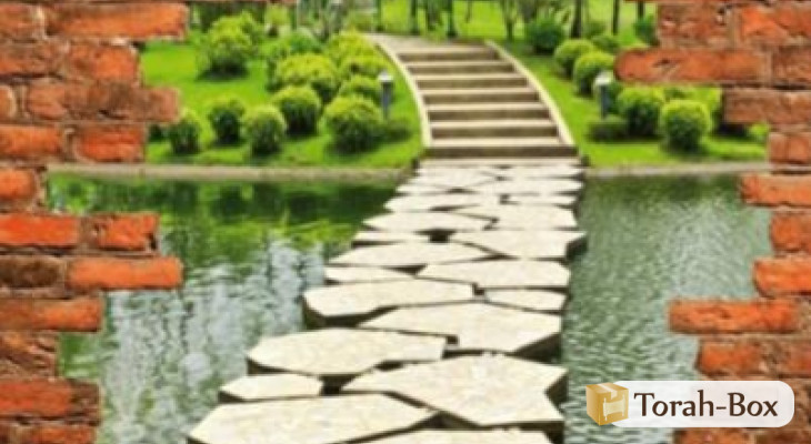 Pensée du jour : La vie te mettra des pierres sur ton chemin...