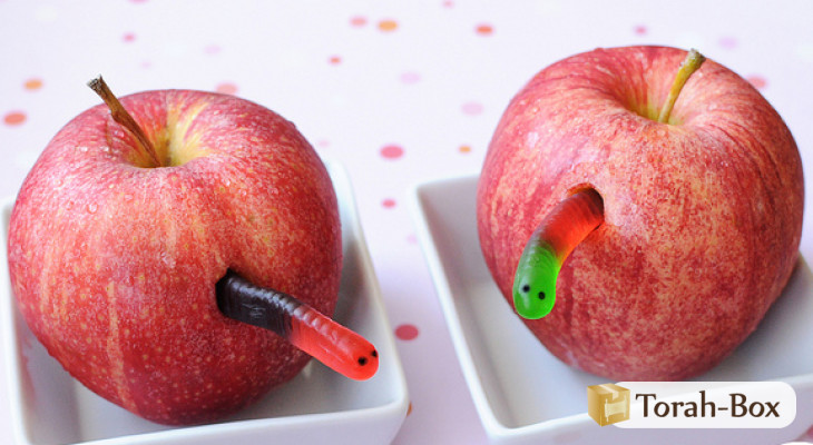 Simanim : vérification des aliments de Roch Hachana