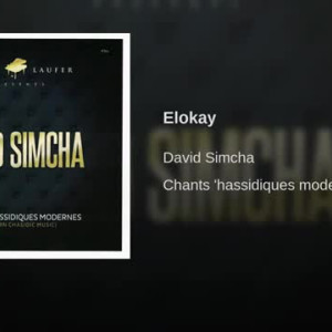 Elokay - David Simcha