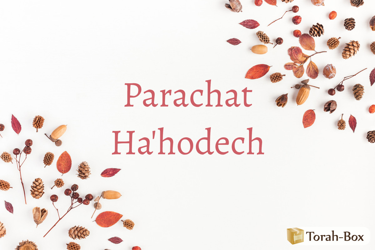 Parachat Ha'hodech : 10 choses à savoir pour Chabbath