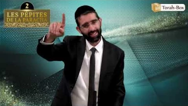 Les 3 Pépites de la Paracha Vayikra