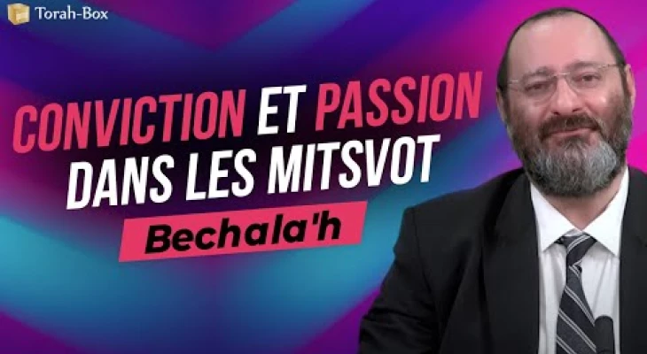 Message de la Paracha - Béchala'h : La conviction et la passion dans ...