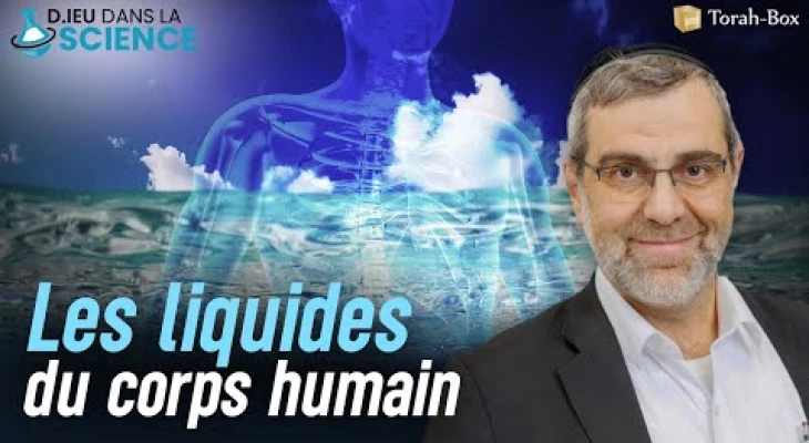 Les liquides du corps humain... D.ieu dans la Science!