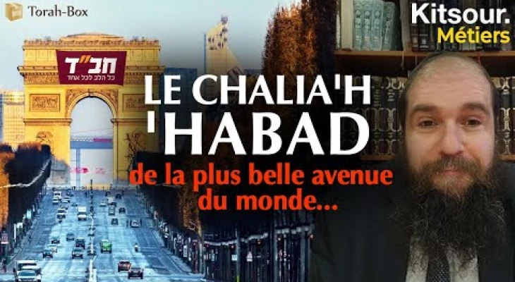 Le Chalia'h 'Habad De La Plus Belle Avenue Du Monde... Kitsour. Métiers