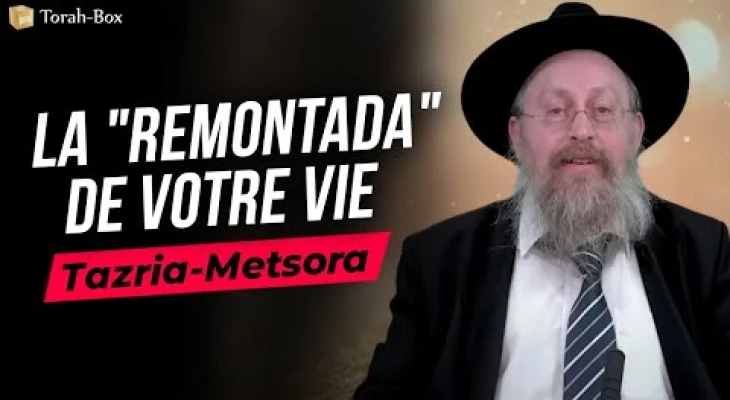 Le Message de la Paracha - Tazria-Métsora : Une belle remontée