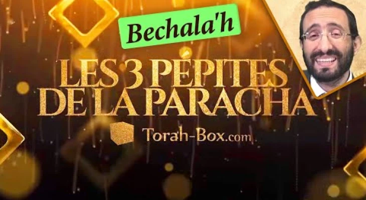 Les 3 Pépites de la Paracha Bechala'h