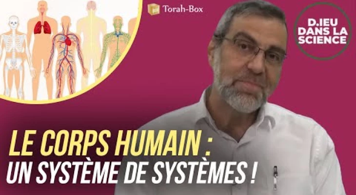D.ieu dans la Science ! Le corps humain, un système de systèmes