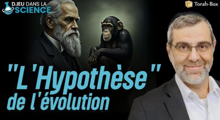 L'Hypothèse de l'évolution