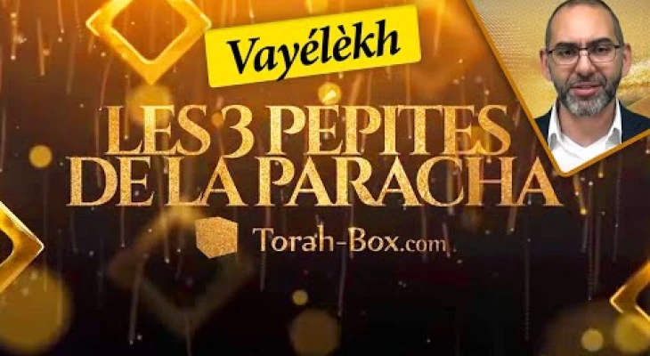 Les 3 Pépites de la Paracha Vayélèkh