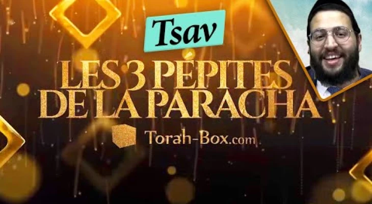 Les 3 Pépites de la Paracha Tsav