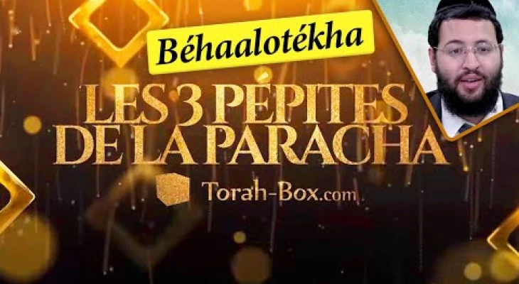 Les 3 Pépites de la Paracha Béhaalotékha