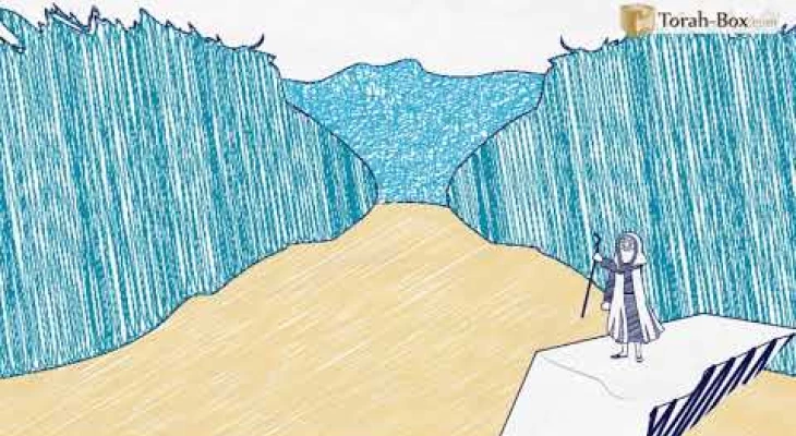 Draw My Paracha : Bechala'h