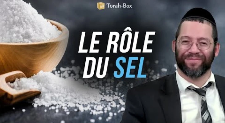 Le rôle du sel