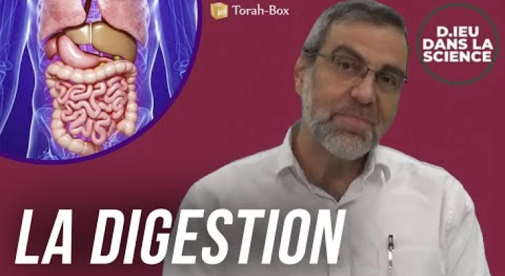 D.ieu dans la science! La digestion