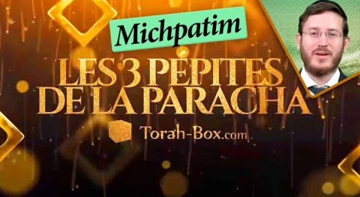 Les 3 Pépites de la Paracha Michpatim