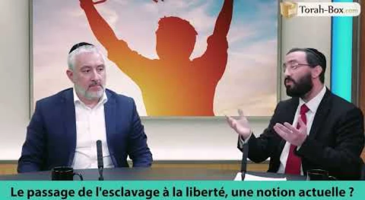 Le passage de l'esclavage à la liberté, une notion actuelle