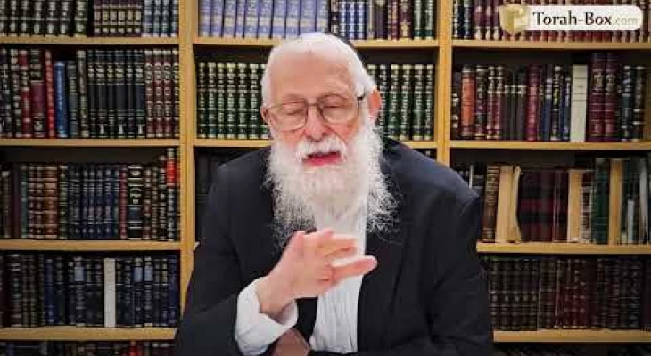 Noa'h par le Rav Gérard Zyzek : Que savons-nous des débuts d'Avraham ...